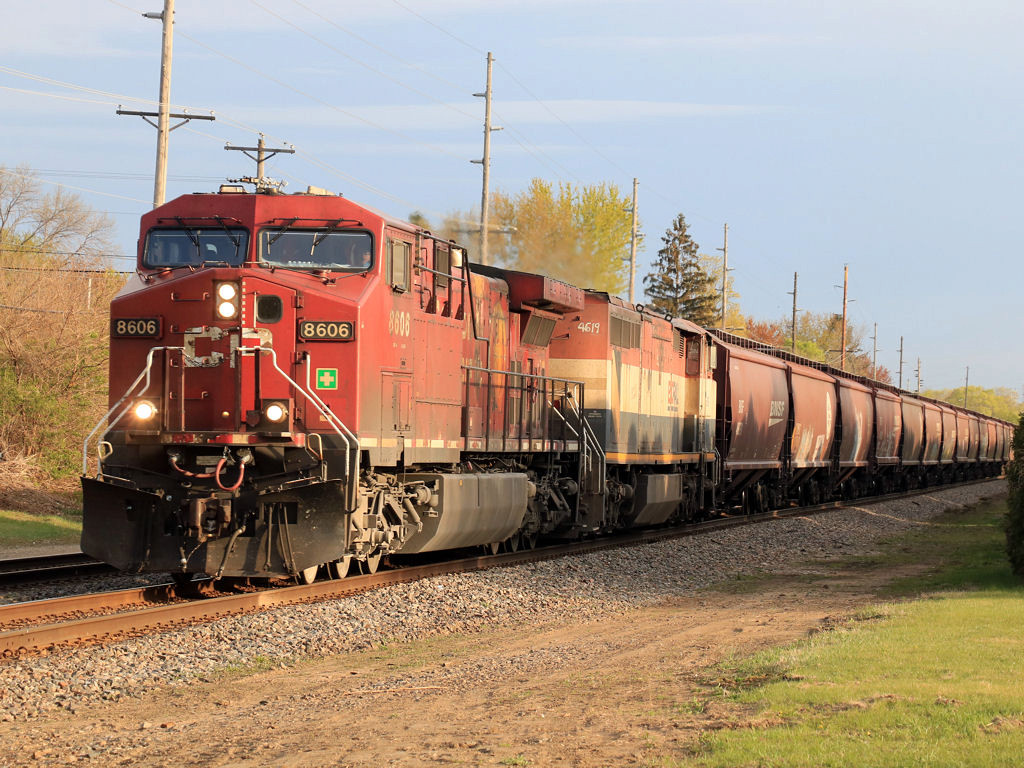 CP 8606